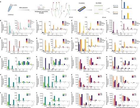Sars Cov 2 Lineage Identification By Femman With A Serially Diluted Download Scientific Diagram
