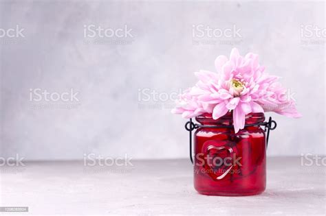 밝은 회색 배경에 하트와 빨간 꽃병에 분홍색 꽃 발렌타인 데이 어머니의 날 또는 생일에 대한 배경 텍스트의 공백입니다 0명에 대한 스톡 사진 및 기타 이미지 Istock