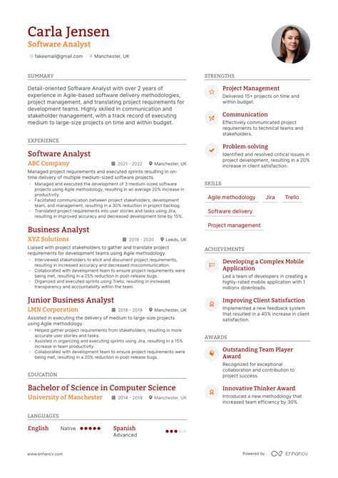 Epic Analyst Professional Summary On Sale