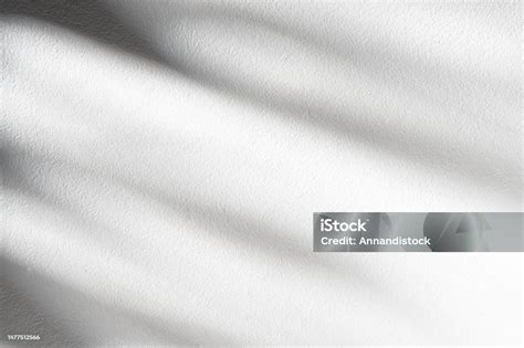 자연광이 있는 콘크리트 벽 질감은 그림자 오버레이를 남깁니다 화이트 바닥에 투명한 열대 잎이 있는 회색 시멘트 배경 배경 디스플레이 제품 프레젠테이션 프로모션 모든 계절에