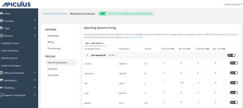 Configuring Windows Instances Apiculus Technical Documentation