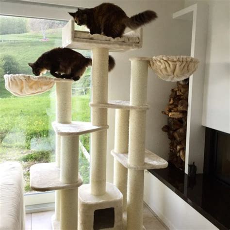 Arbre à Chat Maine Coon Fantasy Crème Livraison Gratuite Cat Tree Fr