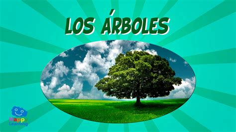 Los árboles Videos Educativos Para Niños Youtube