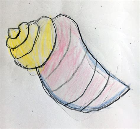 Learn How To Draw A Conch Shell With Year 3 Provo Primary Babe