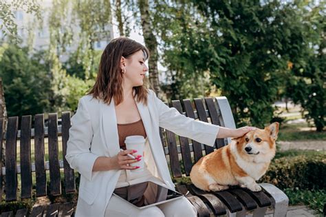 하얀 양복을 입은 예쁜 사업가가 도시 공원에 앉아 커피를 마시고 강아지 웨일스 코기 펨브로크와 함께 디지털 태블릿을 작업하고 있습니다 30 34세에 대한 스톡 사진 및 기타