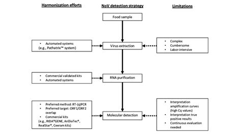 Harmonization Efforts And Limitations In Virus Detection Methods Download Scientific Diagram