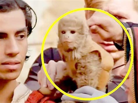 알라딘 Zum 허브