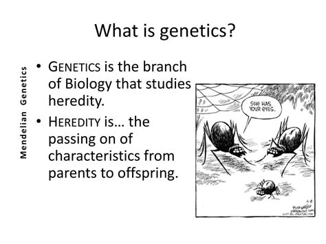 Ppt What Is Genetics Powerpoint Presentation Free Download Id2500243