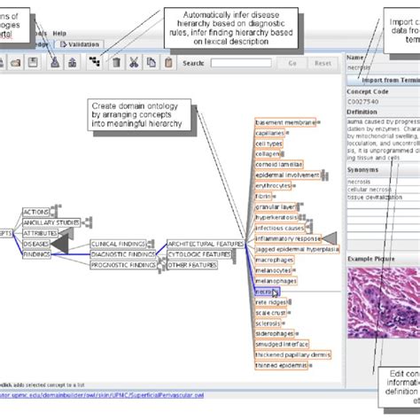 Knowledge Representation Using Concept Hierarchy Download Scientific Diagram