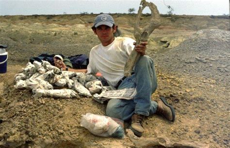 Phoberomys Pattersoni Alchetron The Free Social Encyclopedia