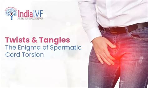 Comprehensive Guide On Spermatic Cord Torsion India IVF Fertility