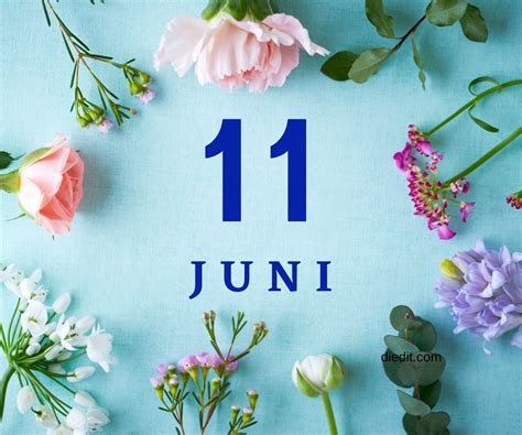 Lahir 11 Juni Ini Sifat Zodiak Cinta And Karir Yang Cocok