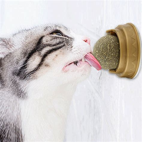 Catnip Wall Ball Catnip Wall Ball