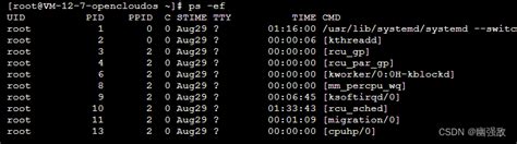 linux ps命令详解，看这篇就够了 csdn博客
