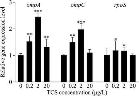 Relative Mrna Expression Levels Of The Outer Membrane Protein Genes Download Scientific Diagram