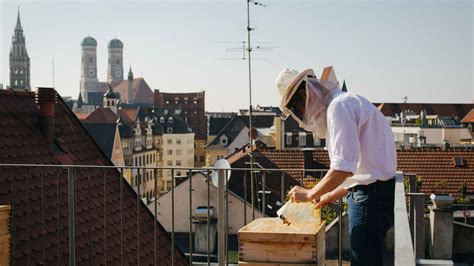 Stadtwerke München M Puls