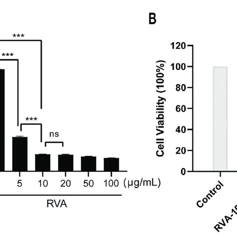 Rva Sensitized Hct 8 Cell Line To 5 Fluorouracil 5 Fu Via A