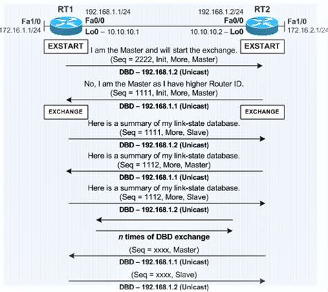 internetworks ospf neighbor states