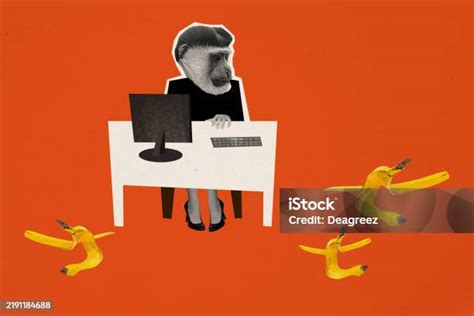 크리 에이 티브 사진 콜라주 앉아 사업가 원숭이 머리 대신 얼굴 작업 컴퓨터 책상 워크 플로우 바나나 빨간색 배경 광고에 대한 스톡 사진 및 기타 이미지 Istock