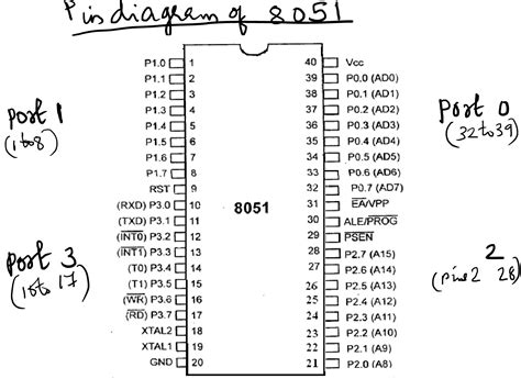 Pin Function On Zoom At Ilene Haase Blog