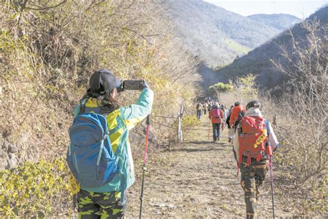 力洋镇 宁海新闻网