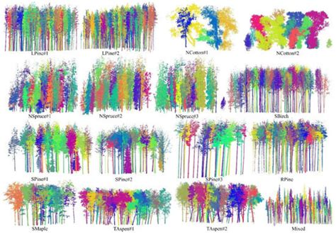 Remote Sensing Free Full Text 3d Graph Based Individual Tree