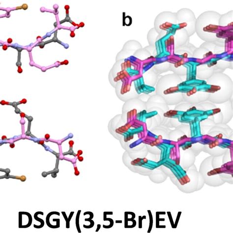 A Intrasheet Halogen Bond Occurring Between The Br Atom And O Atom