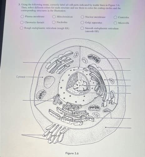 Biology Unit 2 Notes Flashcards Quizlet