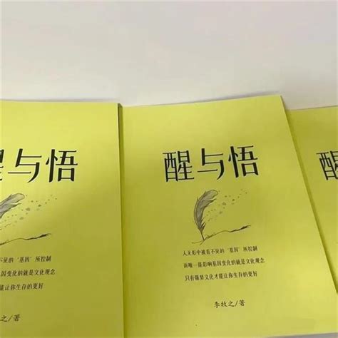 醒与悟pdf高清版 无水印 恋爱资源网