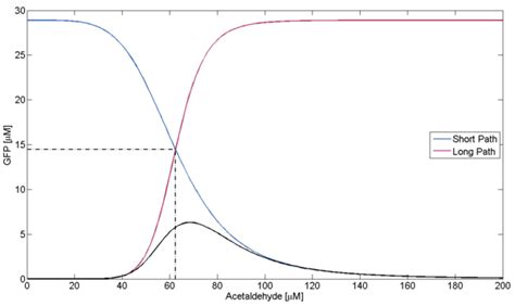 Team Eth Zurich Modeling Analytical Approximation