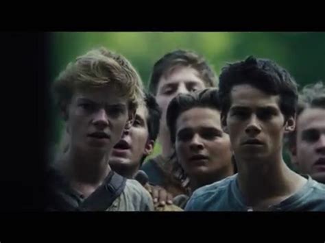 Just Observe Newts Hair Maze Runner Maze Runner Series Maze Runner