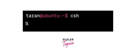 Csh Escape Quotes Chapter 9 The C Shell Unix Shells By Example 3rd