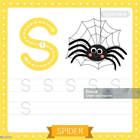 편지 S 대문자 추적 연습 워크 시트 의 블랙 스파이더 거미에 대한 스톡 벡터 아트 및 기타 이미지 거미 거미줄 교육