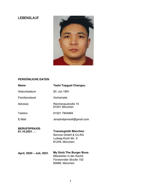 Lebenslauf Pdf