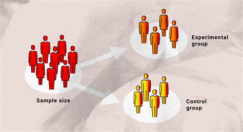 实验组在研究中的作用 Mind the Graph 博客