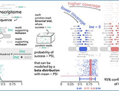 ESFinder Identification Of Exon Skipping Events From High Throughput RNA Sequencing Data RNA