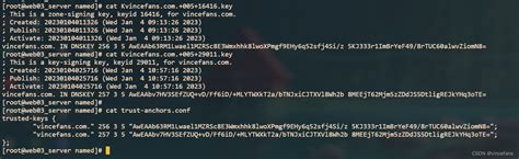 局域网dns服务器搭建
