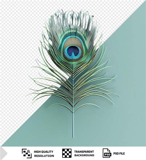 Peacock Feather Tree Psd 2000 High Quality Free Psd Templates For