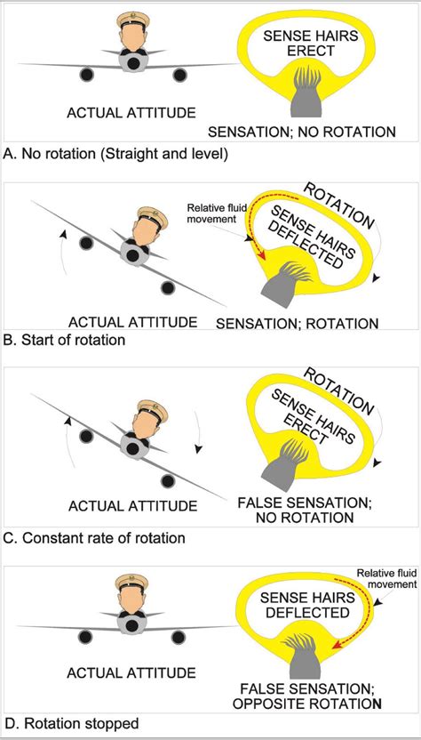 Which Illusions Can Pilots Encounter While Flying