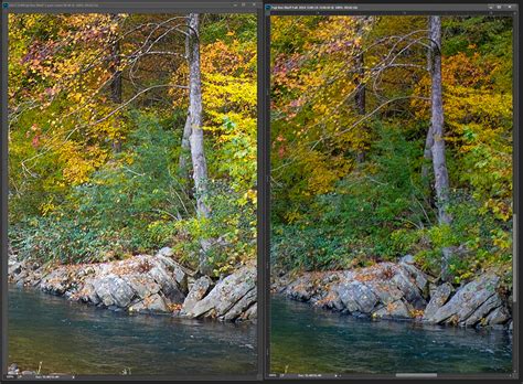 Fuji X Trans Raw Conversions Which Is Best Lightroom Or Capture One Photos Of Arkansas