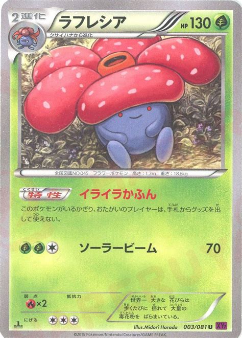 ラフレシアu 草 〈003081〉 Xy7 晴れる屋2