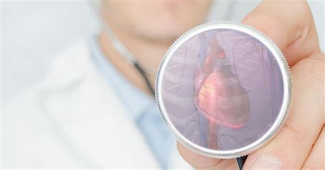 Cardiovascular Technologist Salary And Career Opportunities Aims