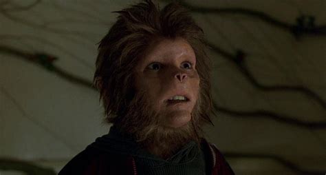 Esan Ruths Blog Tons Of Adventures Jumanji Vs Zathura