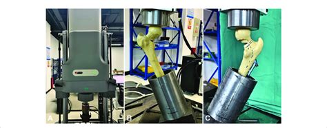 During The Axial And Cyclical Compression Tests The Specimen Was Download Scientific Diagram