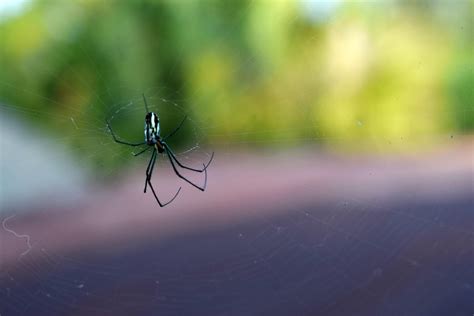 Creating Dynamic Forms In Aspnet Mvc Leveraging Model Binding Kmf Blogs