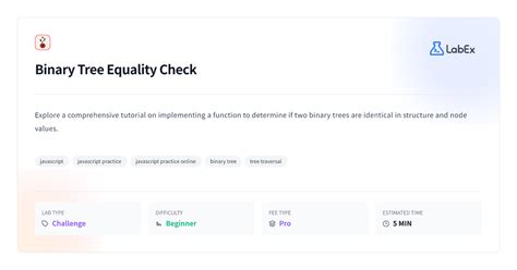 Binary Tree Equality Check Labex