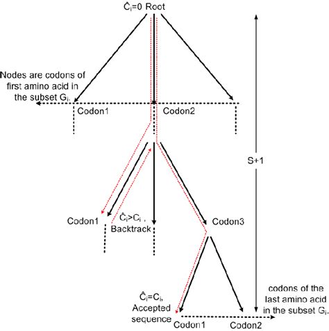 Backtracking The Coding Subsequences For Subset G I Download