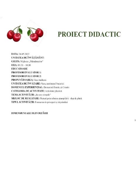 Ed Plastica Proiect De Lectie Gradinita Pdf
