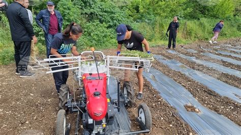 Социалното предприятие „Чудната градина“ получи машина за полагане на разсад в земята Утро