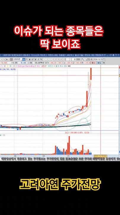 이슈가되는 종목들은 딱 보이죠 고려아연주가전망에이피알두산로보틱스에코프로에이치엔포스코홀딩스알테오젠유한양행삼성전자주가